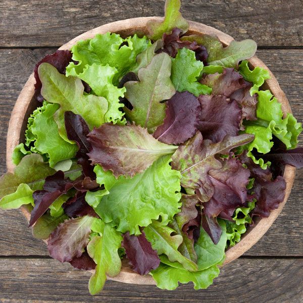 DMR Salad Blend – Homestead