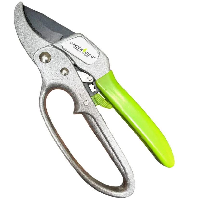 Ratchet Garden Pruning Shears Clippers – Homestead