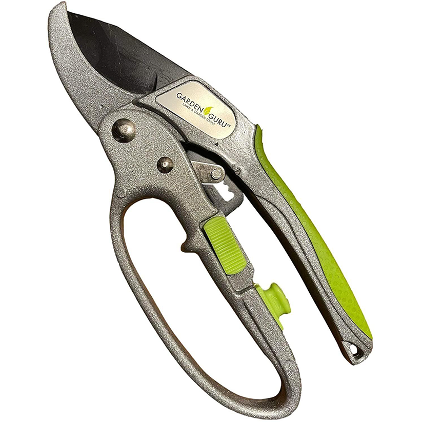 Ratchet Garden Pruning Shears Clippers Deluxe – Homestead