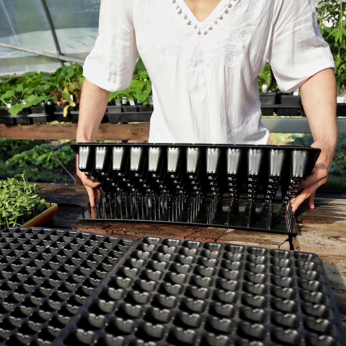 Plug Popper for Cell Trays – Homestead