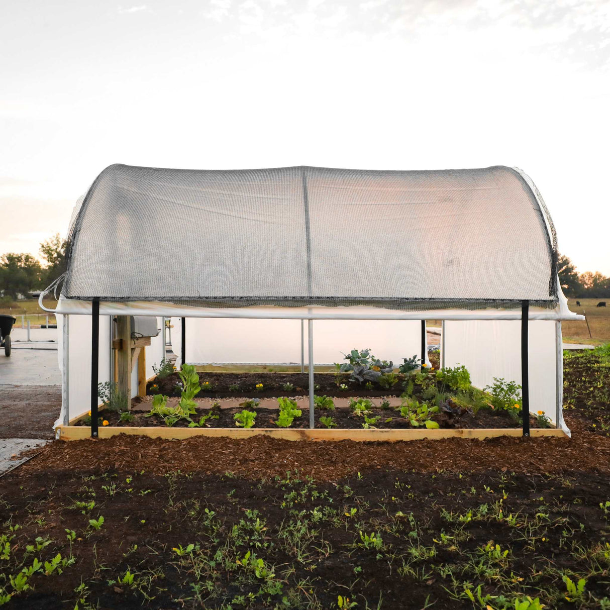 Roll-Up Side Kit for Hobby Greenhouse – Homestead