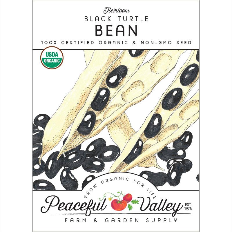 Black Turtle Bush Bean Seeds (Organic) – Homestead