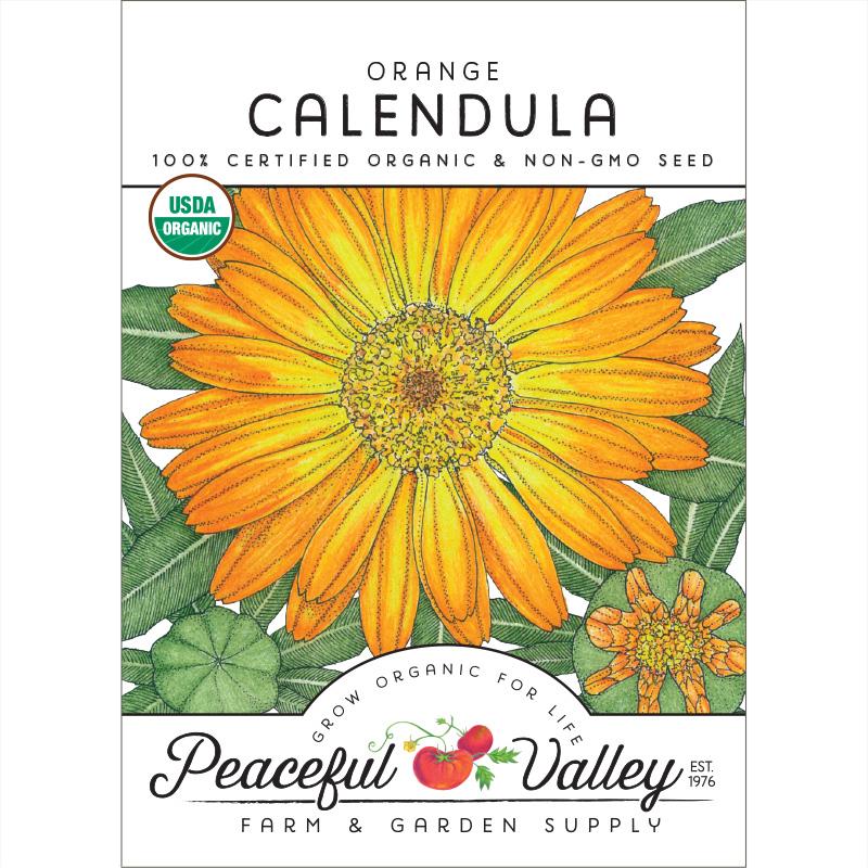 Organic Calendula, Orange – Homestead